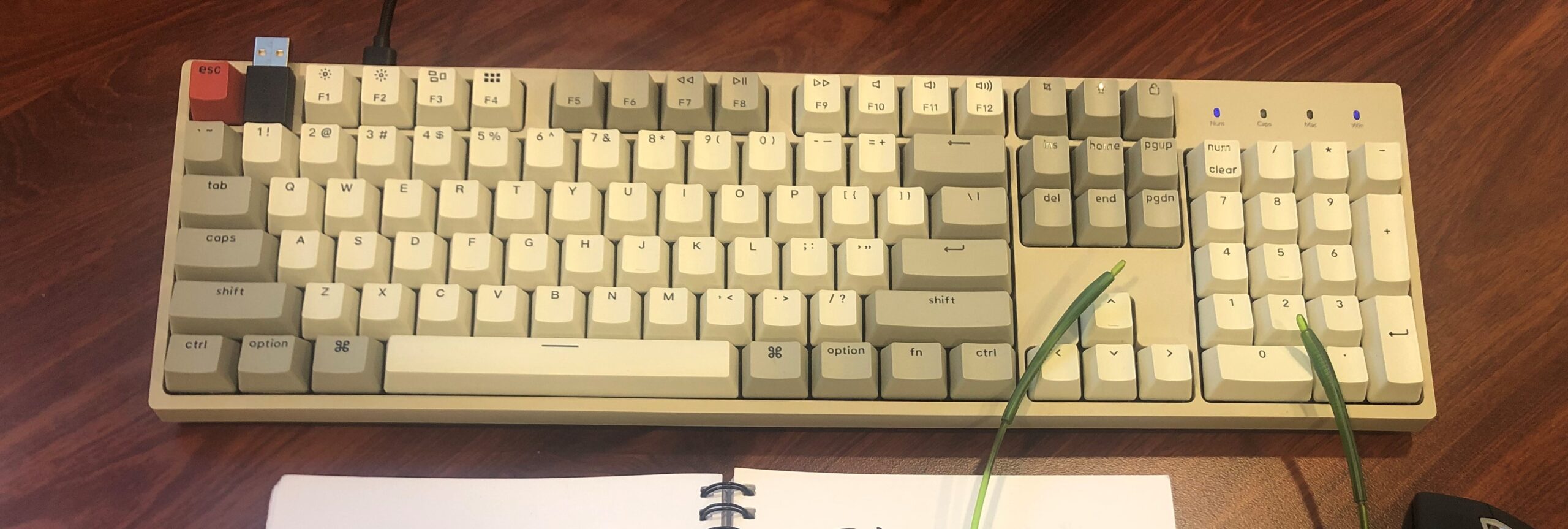 Technology and Skills Training – The 120% Deduction Rules | JJN Accounting